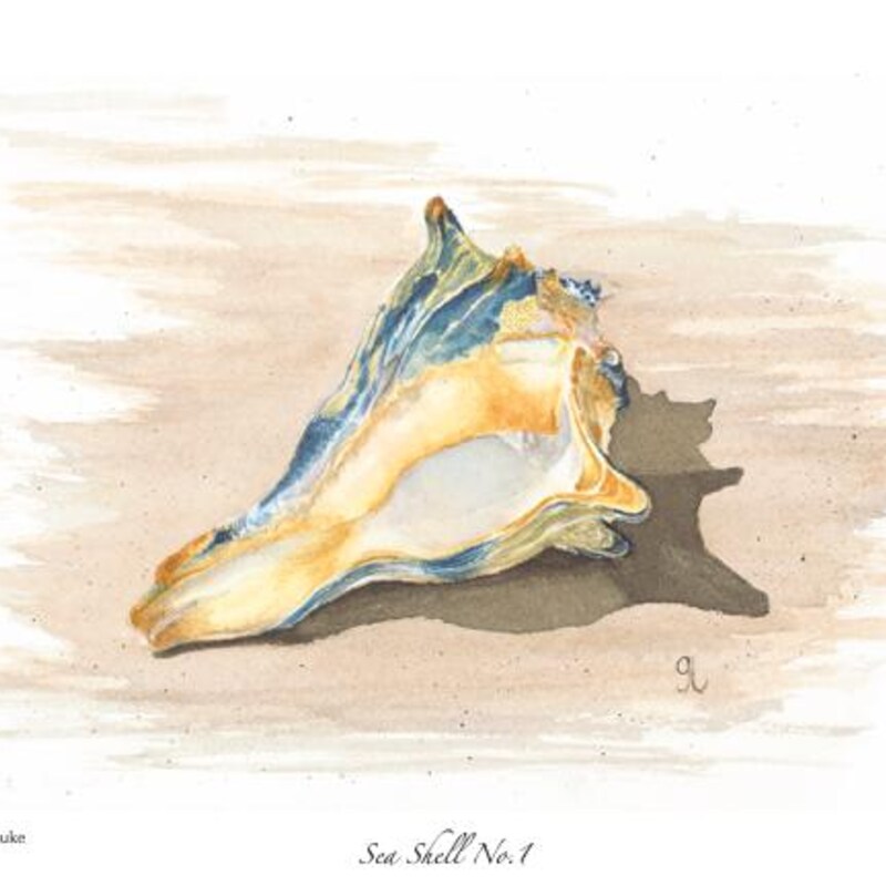Shell Art Print - Etsy