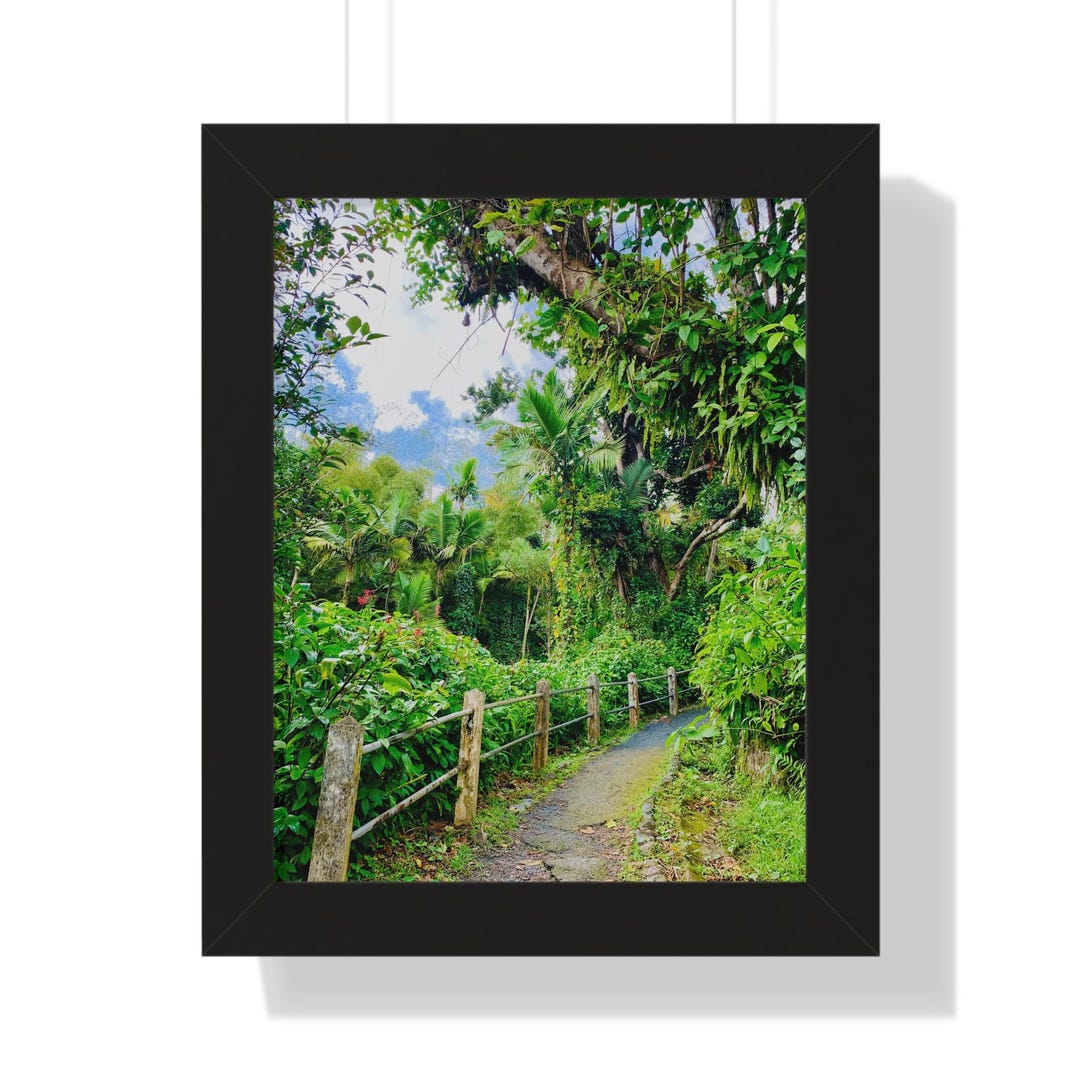 Lush El Yunque Rainforest, Puerto Rico Framed Vertical Poster - Etsy