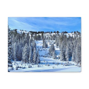 Fresh Snowfall in Little Cottonwood Canyon Canvas Gallery Wrapcanvas ...