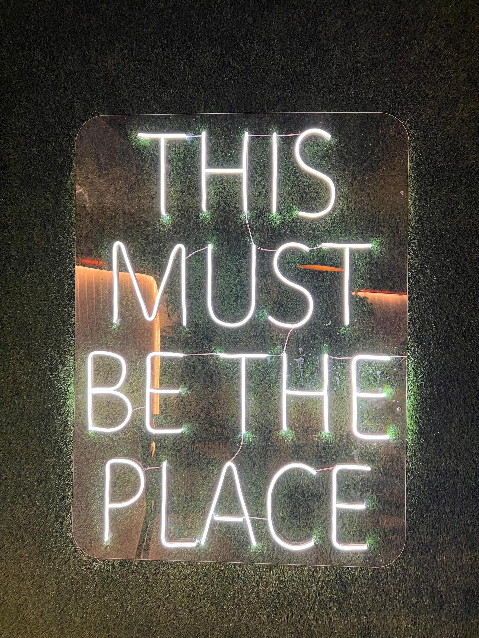 Restaurant LED Neon Light Sign | Christmas Décor | Office Light up Neon ...