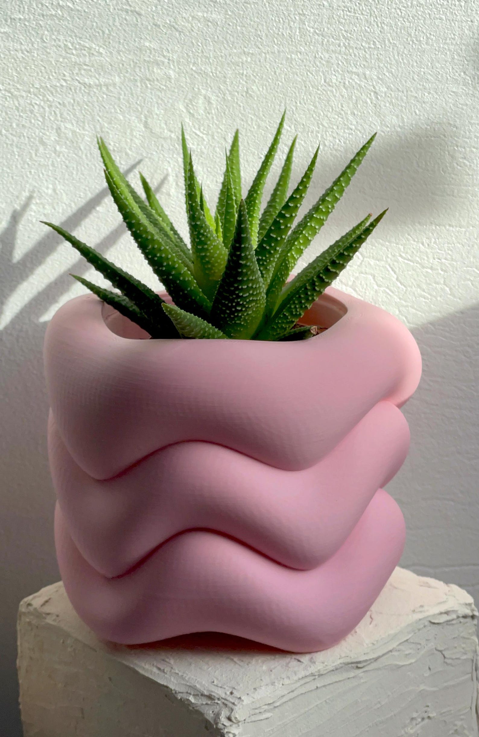 Melting Donut Planter: Playful Tabletop Succulent Pot - Etsy