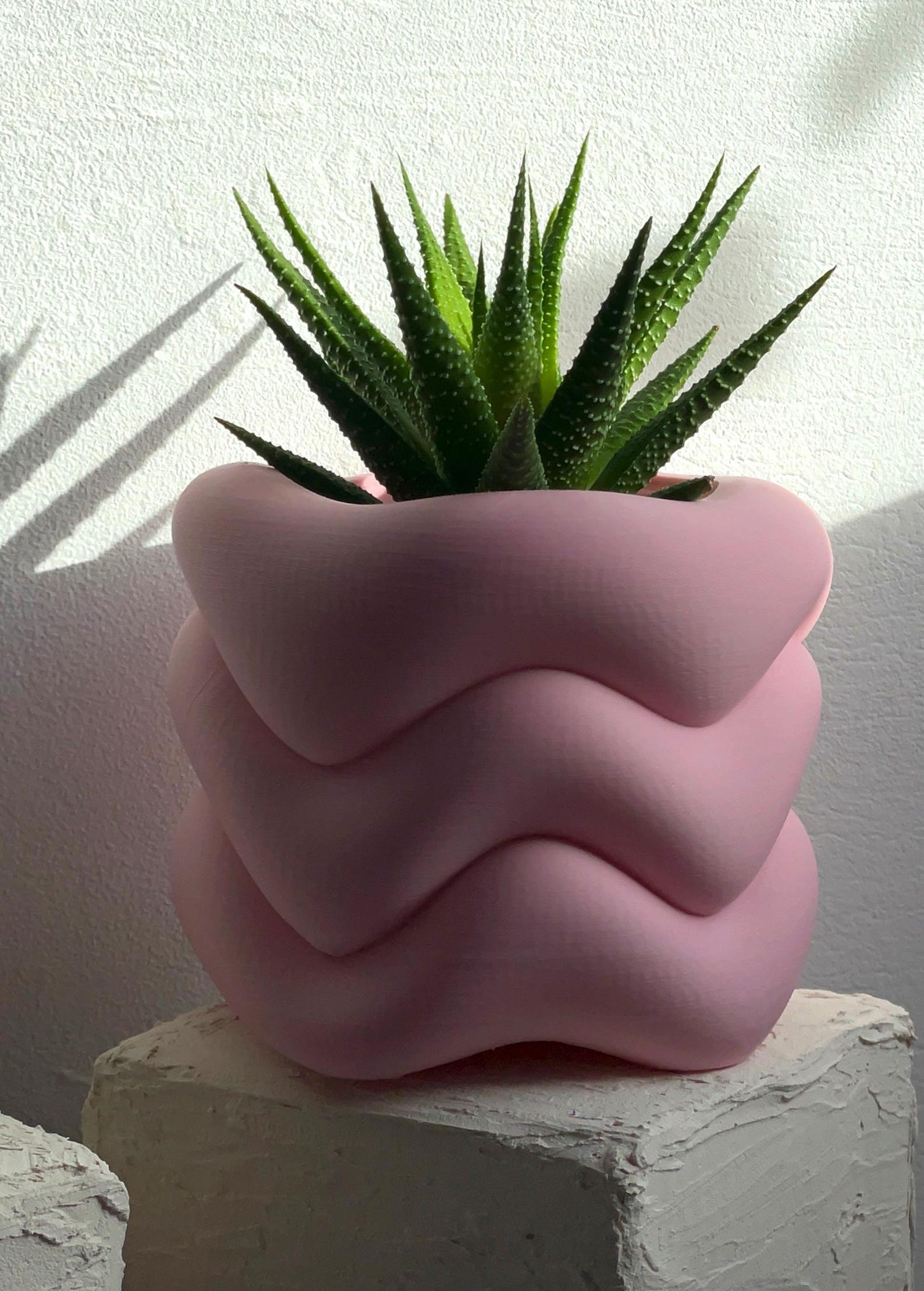 Melting Donut Planter: Playful Tabletop Succulent Pot - Etsy