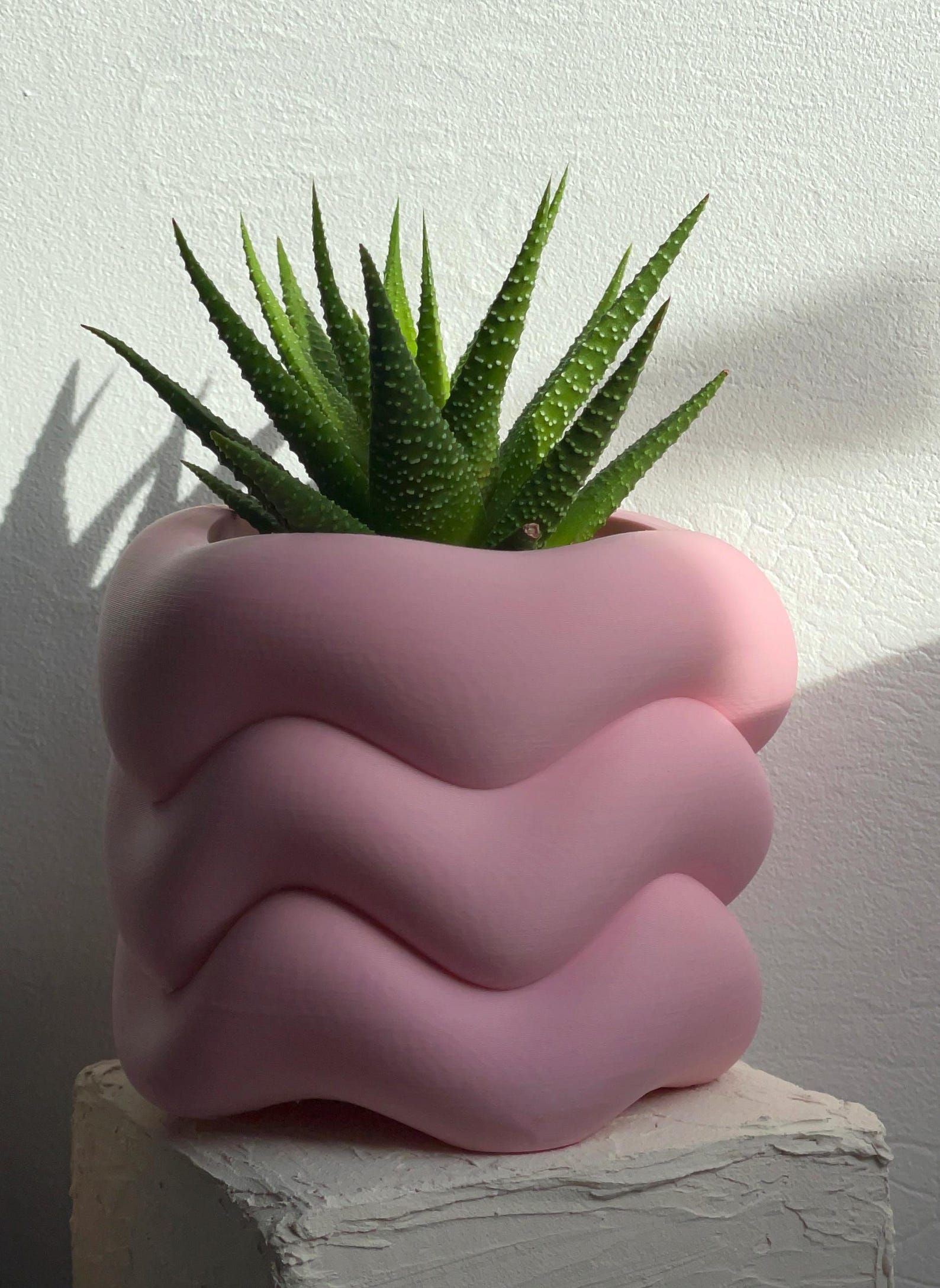 Melting Donut Planter: Playful Tabletop Succulent Pot - Etsy