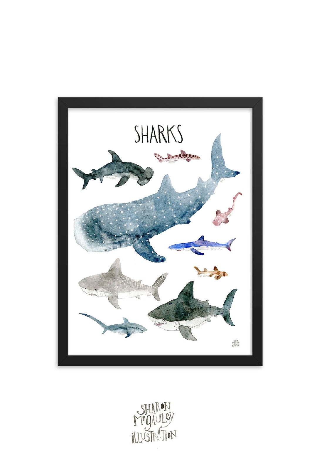 Sharks Animal Art Print Shark Science Poster for Nursery or - Etsy