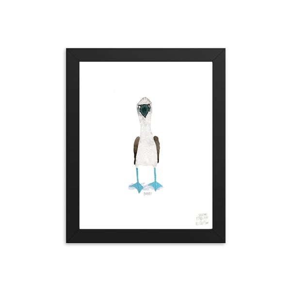Blue Footed Booby - Etsy