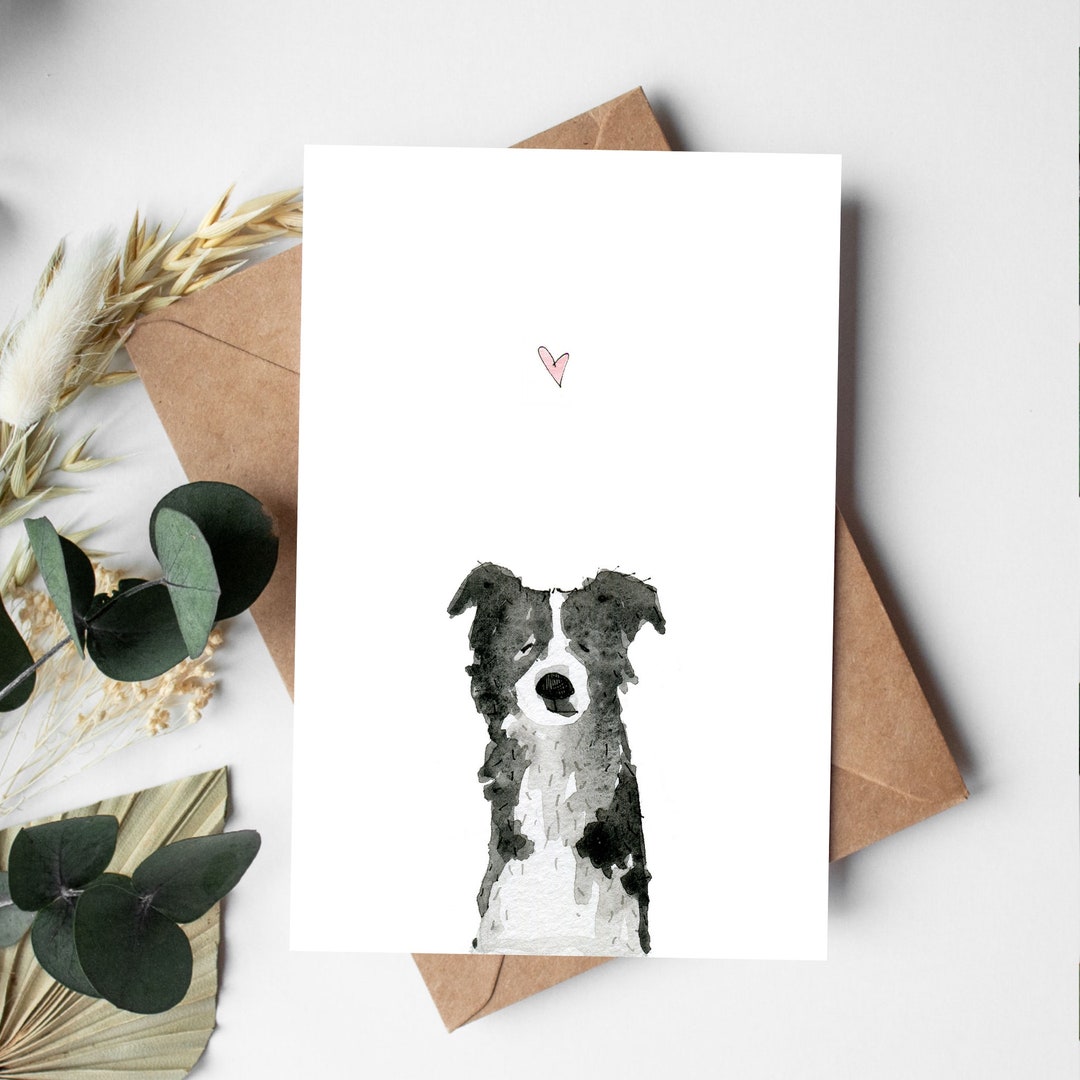 Border Collie Greeting Card Border Collie Valentine Sympathy - Etsy