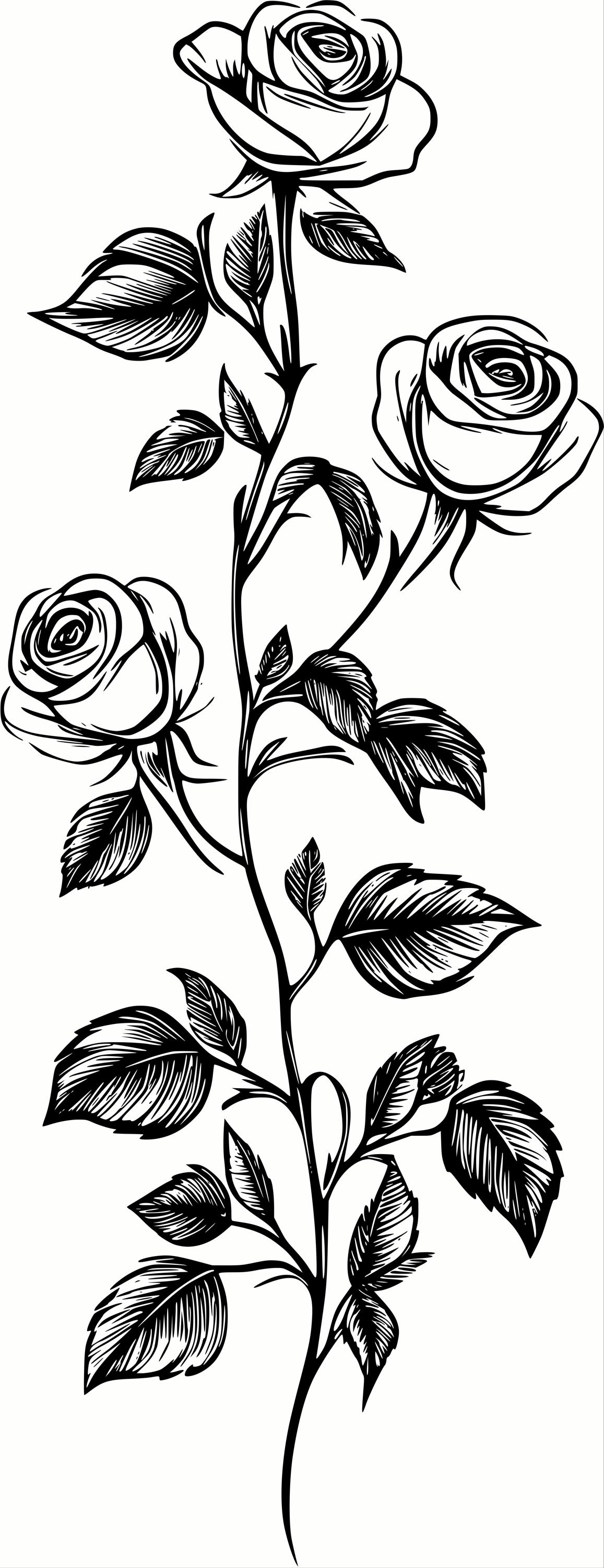 Rose Vine SVG - Etsy
