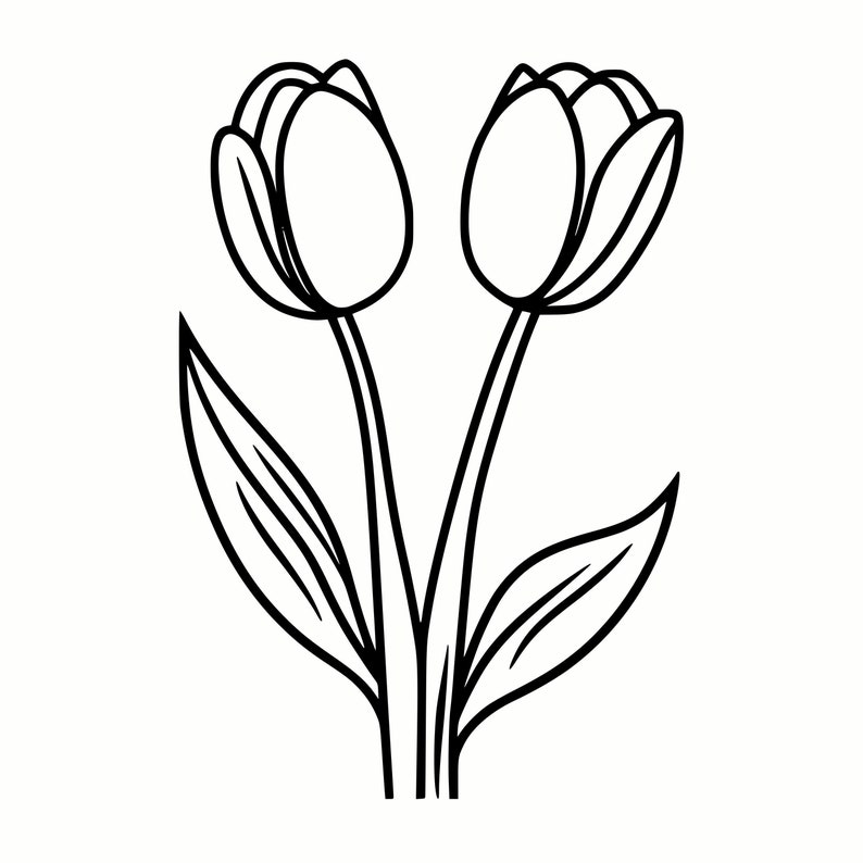 Tulips SVG & PNG - Etsy