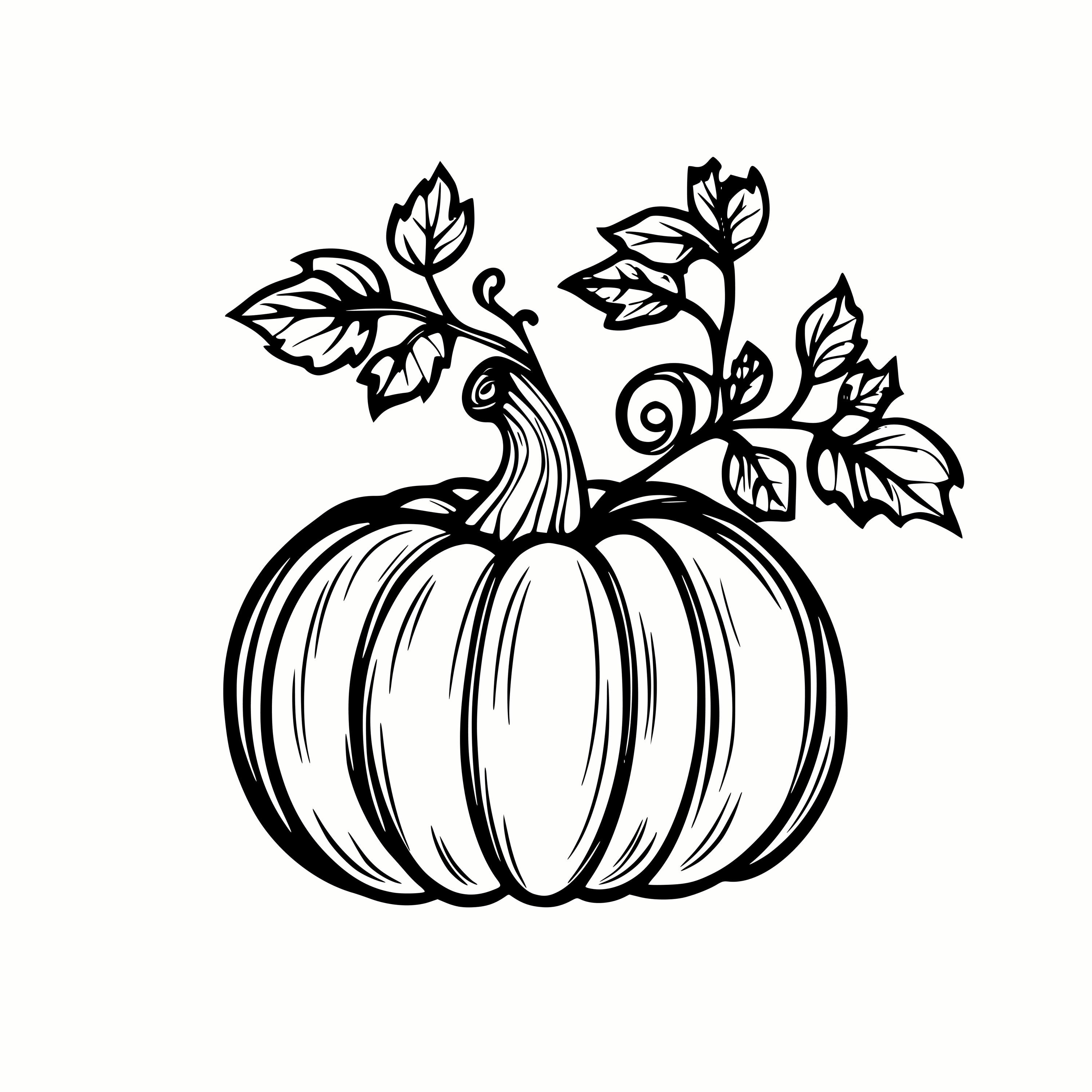 Pumpkin SVG - Etsy