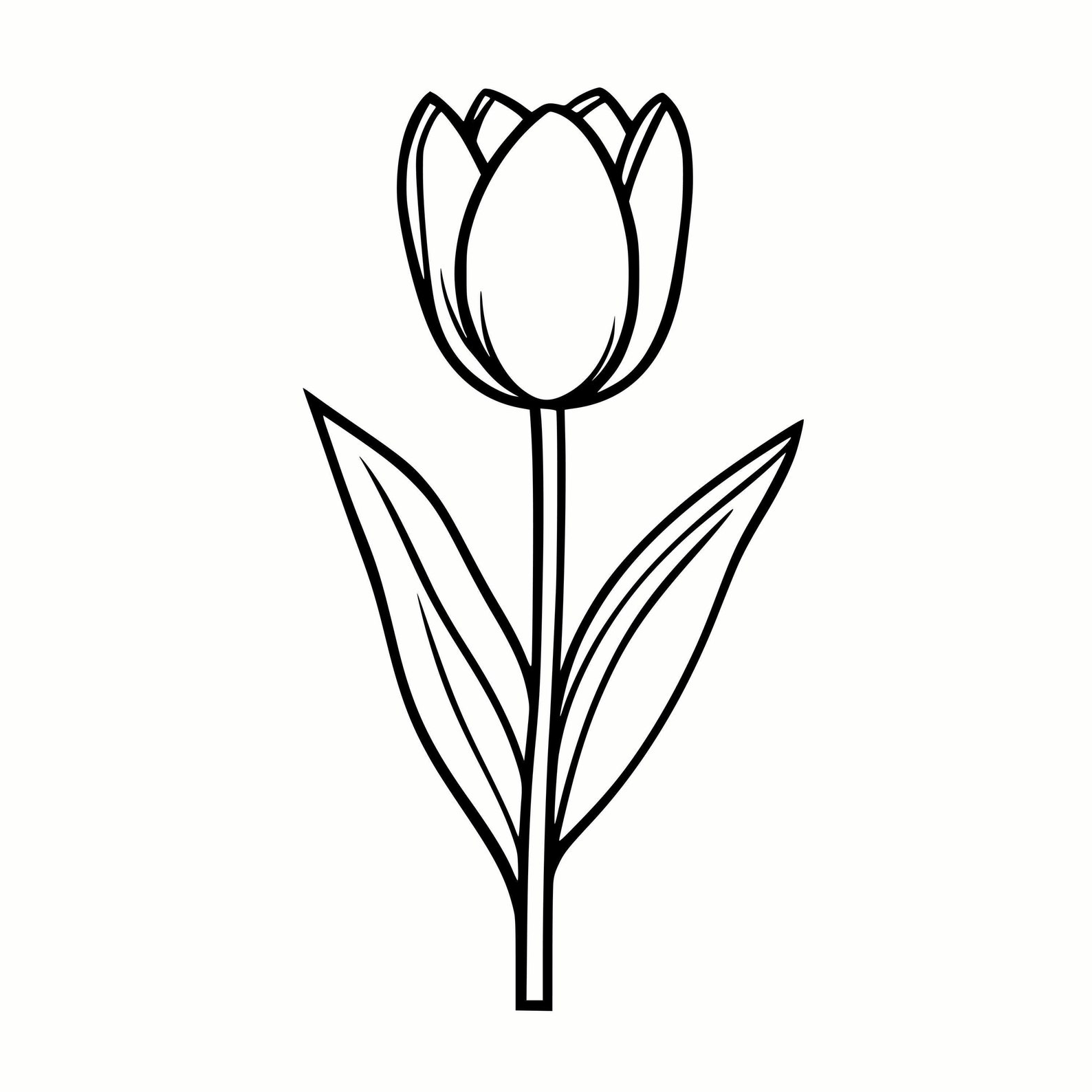Classic Tulip SVG & PNG - Etsy