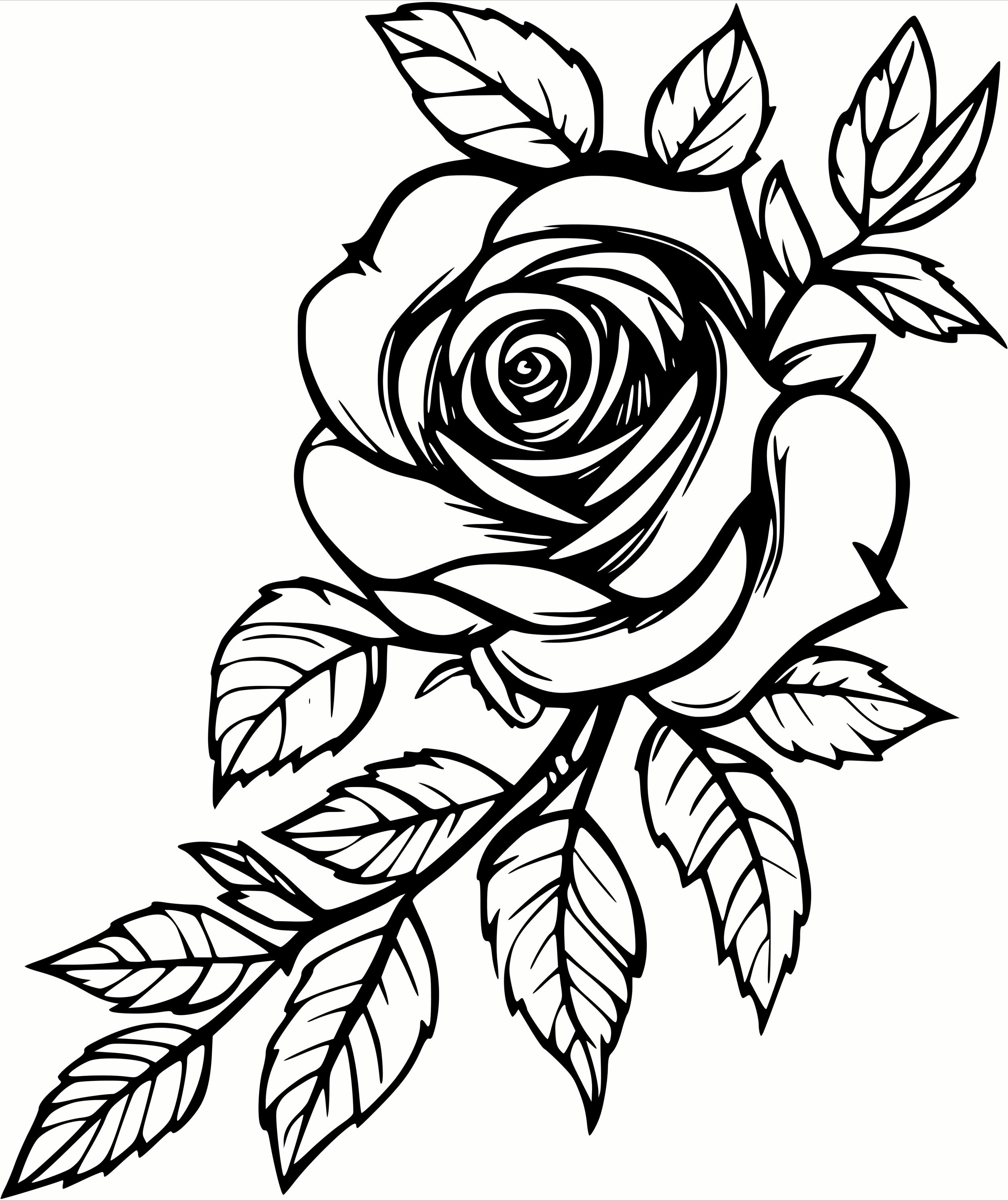 Corner Rose With Vines SVG & PNG - Etsy