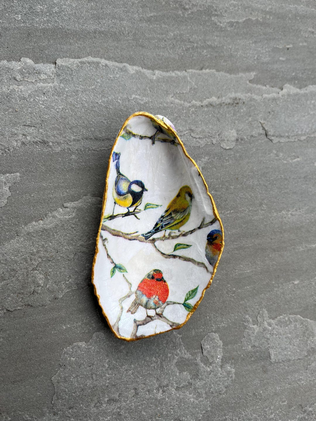 Eoilagarry Beach Mussel Shell From the Isle of Barra Hand Crafted and ...