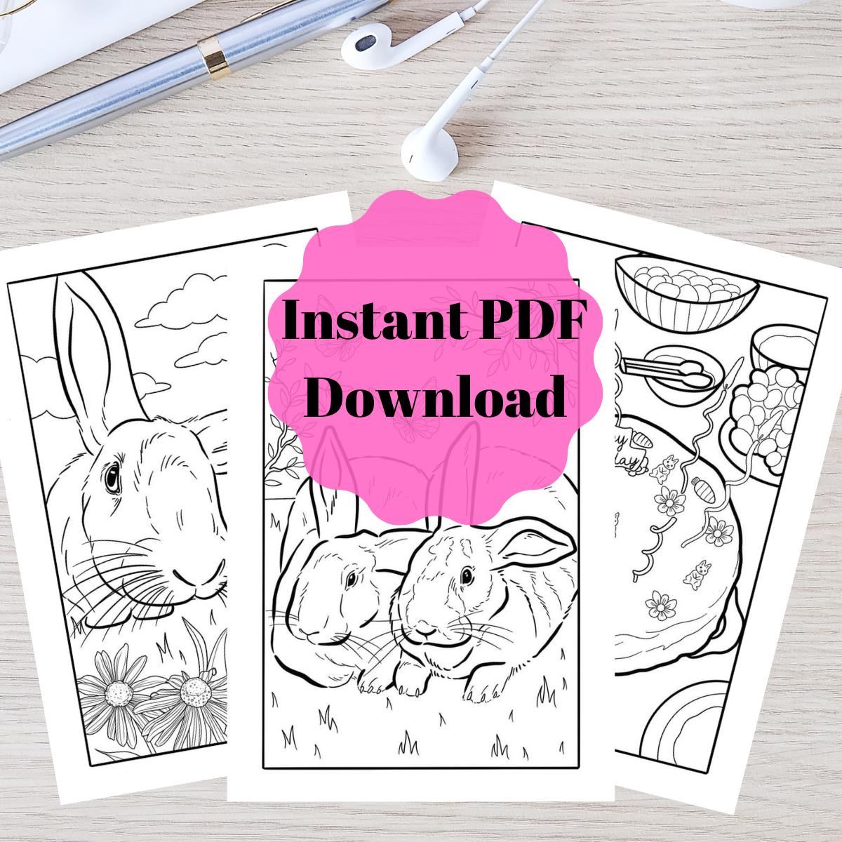 Bunny Coloring Book Page digital - Etsy