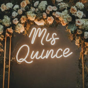 Mis Quince Neon Sign, Quinceanera, Mis Quince, Quince, Quinceanera Sign ...