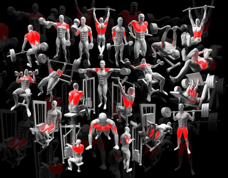 3300+ Fitness Reels Bundle: Workout, HIIT, Yoga, Cardio Videos (digital ...