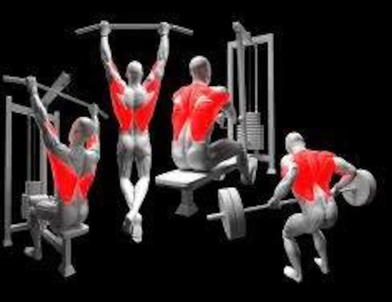 3300+ Fitness Reels Bundle: Workout, HIIT, Yoga, Cardio Videos (digital ...
