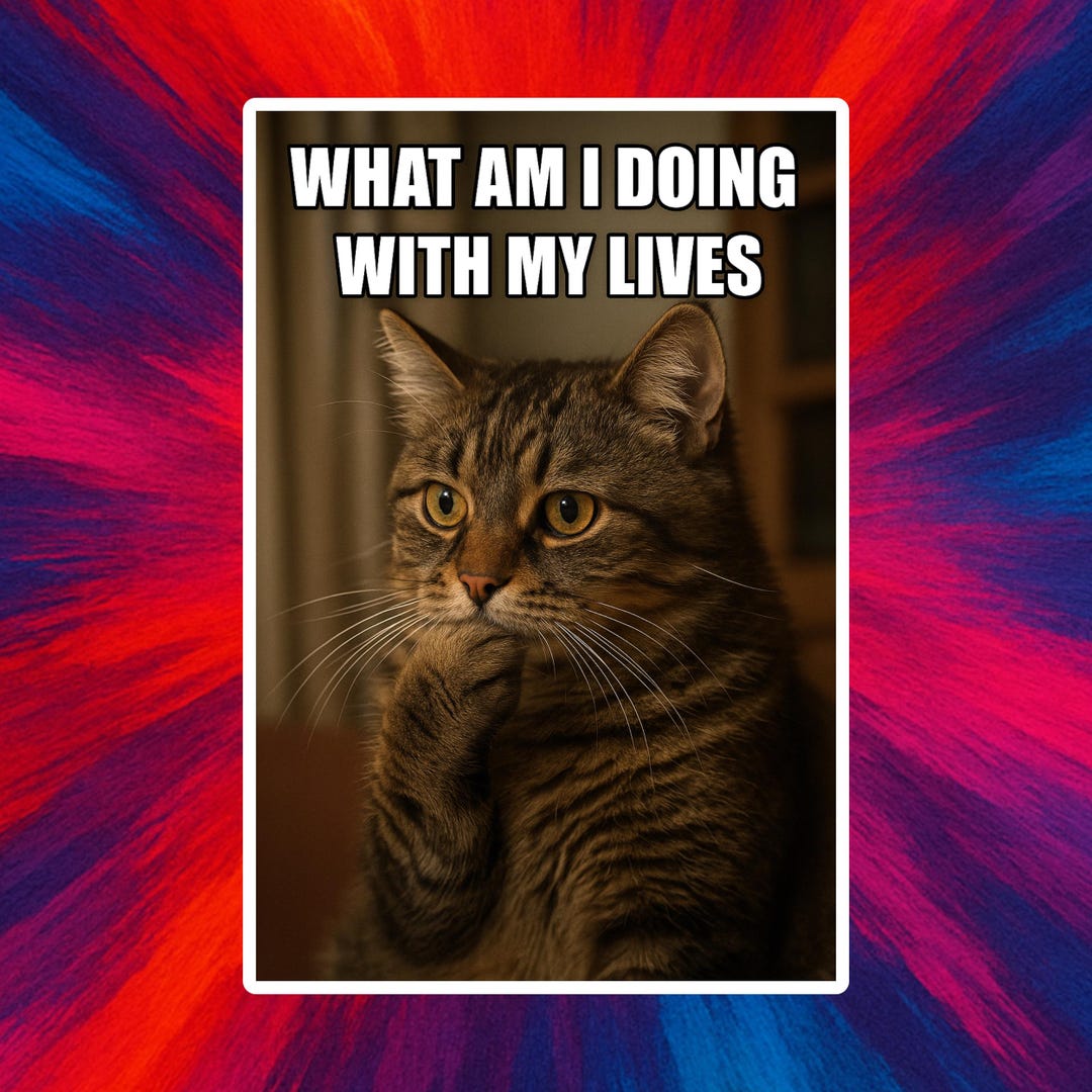 Funny Cat Existential Crisis Sticker: Moody Kitty Meme Vinyl Decal - Etsy