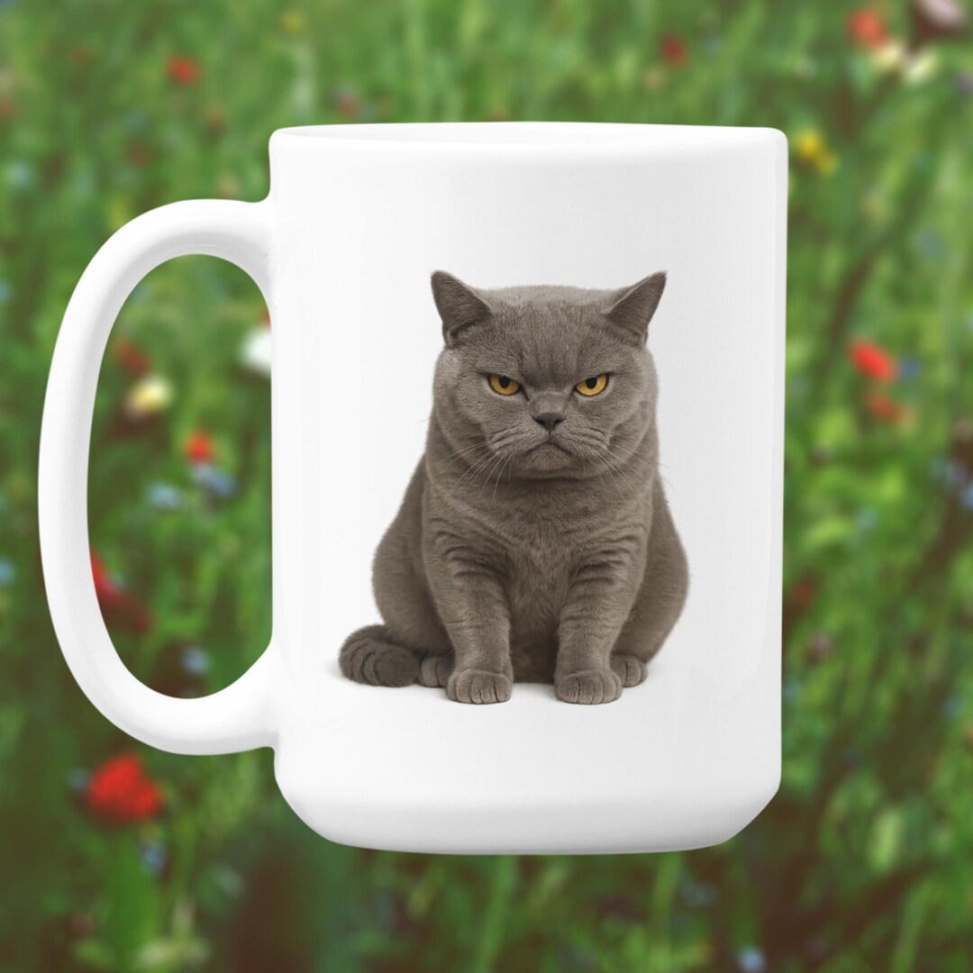 Grumpy British Shorthair Cat Mug – Funny Feline Gift - Etsy