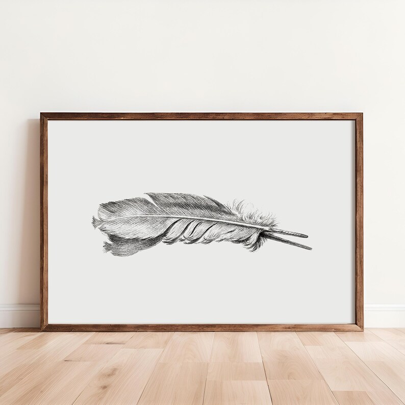 Feather Drawing Art Print: Vintage Jean Bernard, Boho Minimalist Decor ...