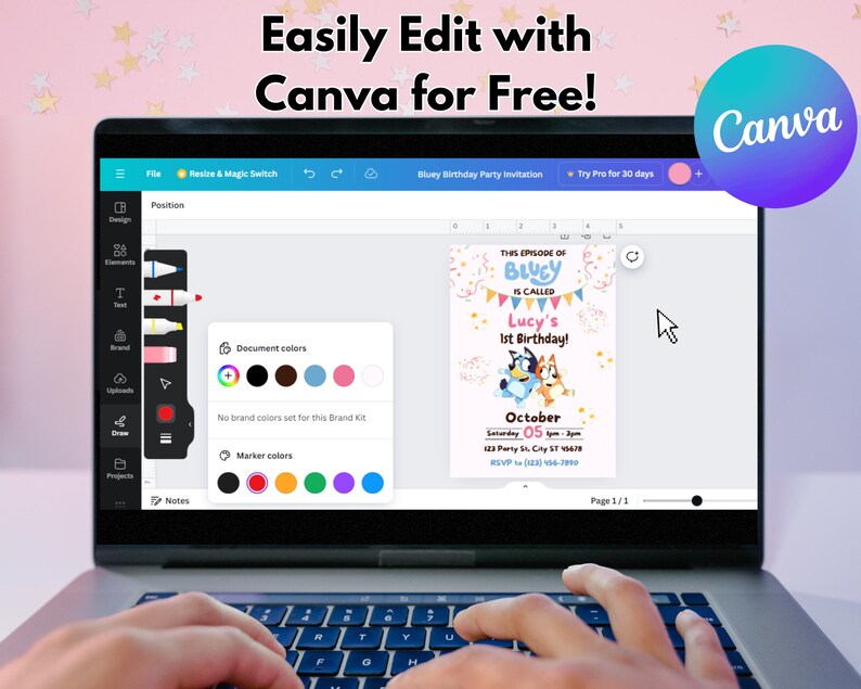 Editable Bluey Birthday Invitation - Digital Download, Canva Template ...