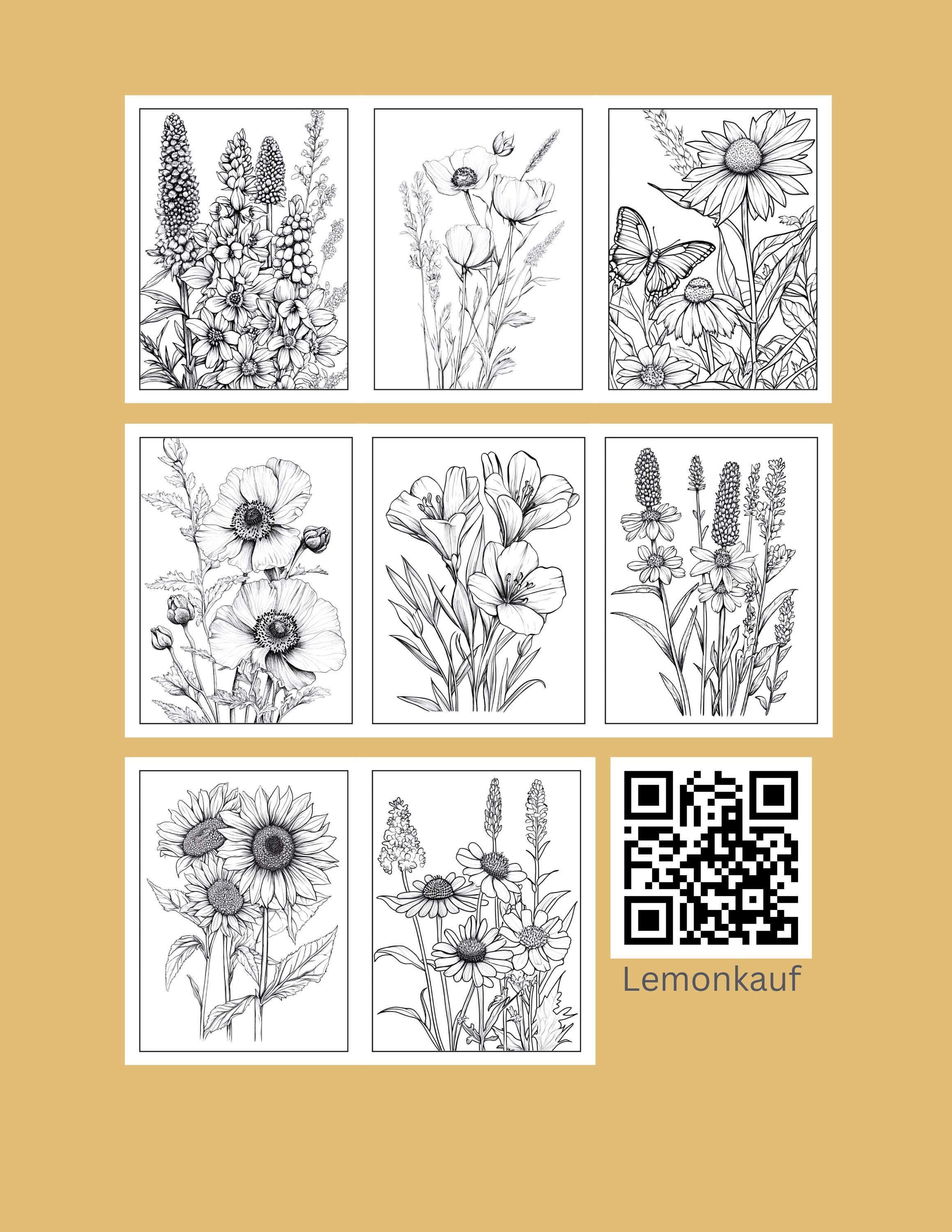 Wild Flower Coloring Pages 90 Flora Pages, Flower Coloring Book ...
