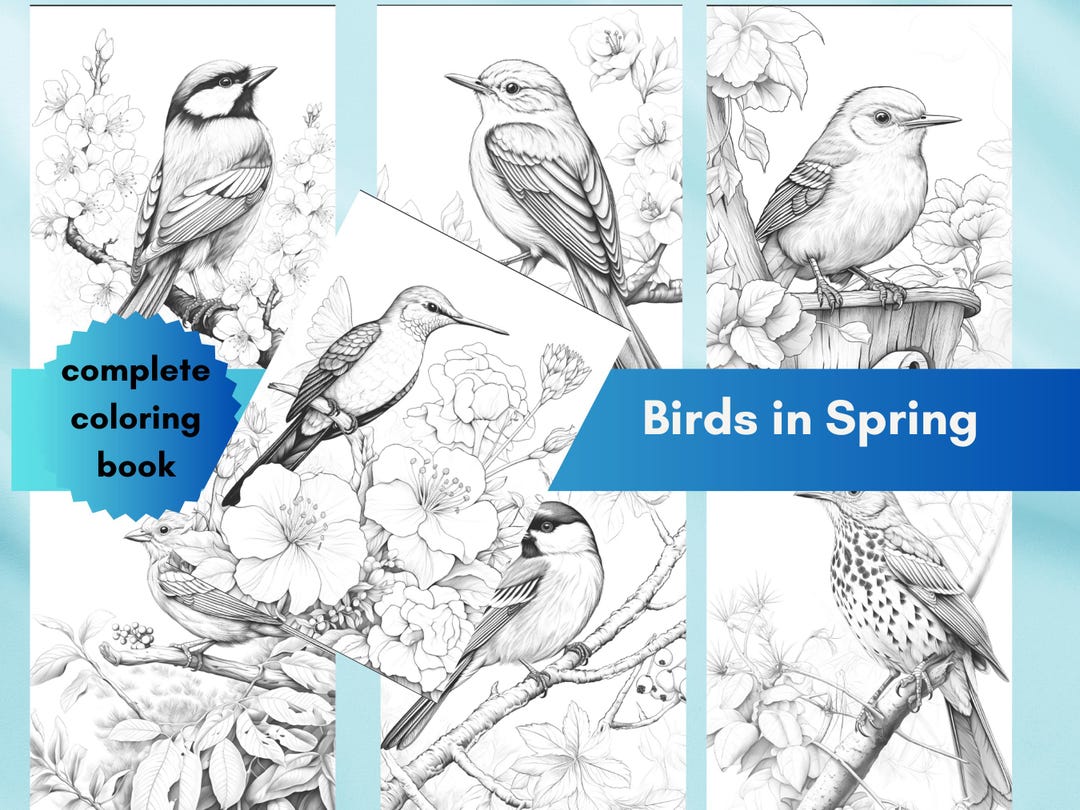 Birds in Spring Coloring Pages 50 Pieces, Instant Download, Adult ...