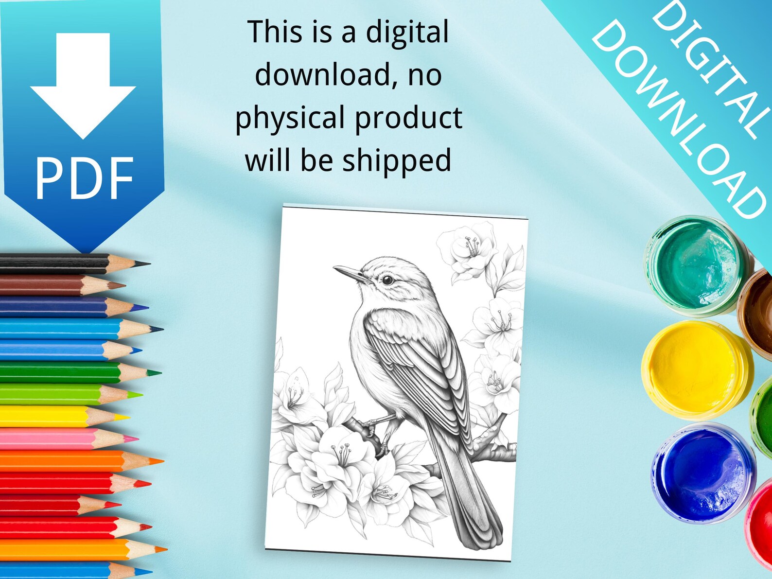Birds in Spring Coloring Pages 50 Pieces, Instant Download, Adult ...