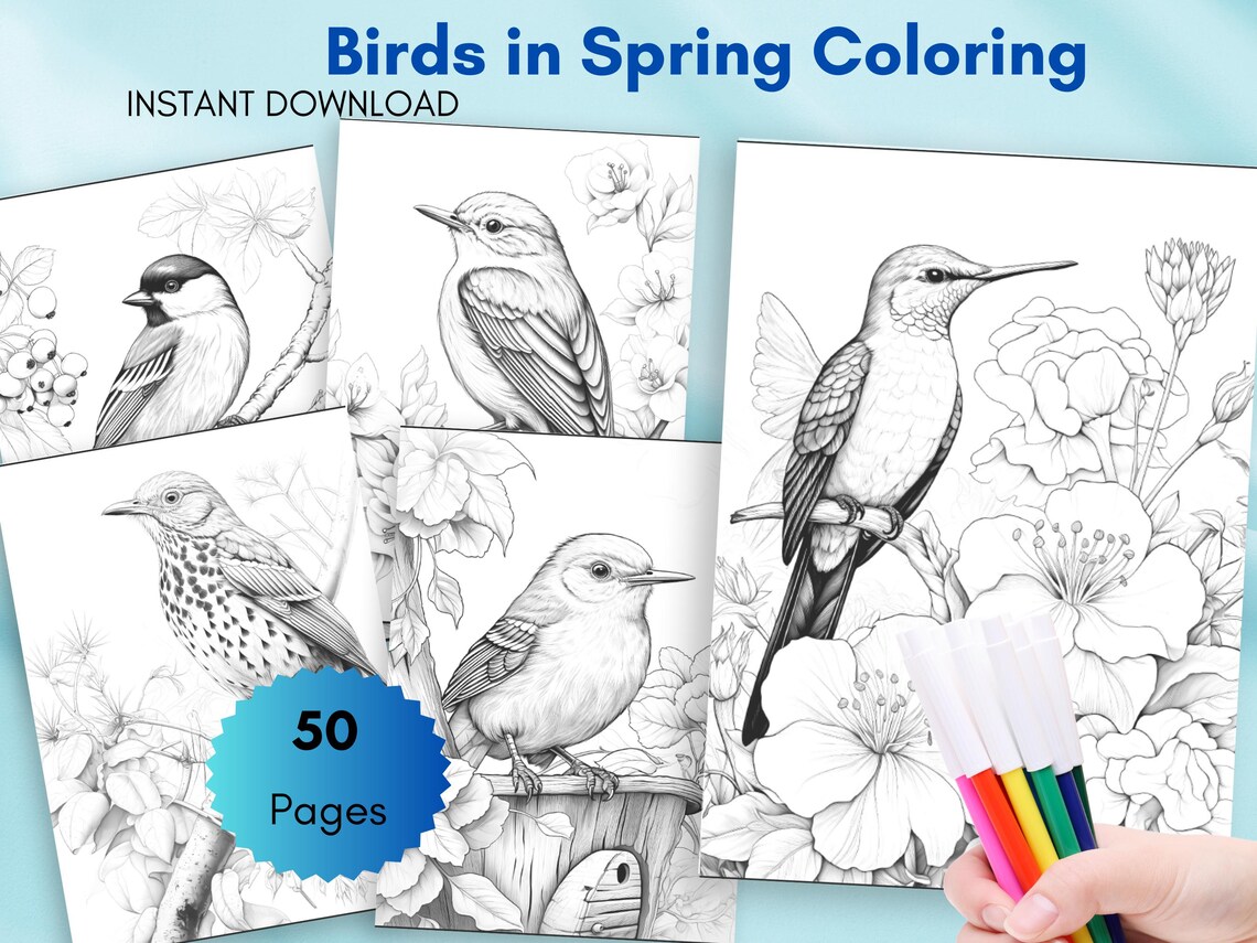 Birds in Spring Coloring Pages 50 Pieces, Instant Download, Adult ...