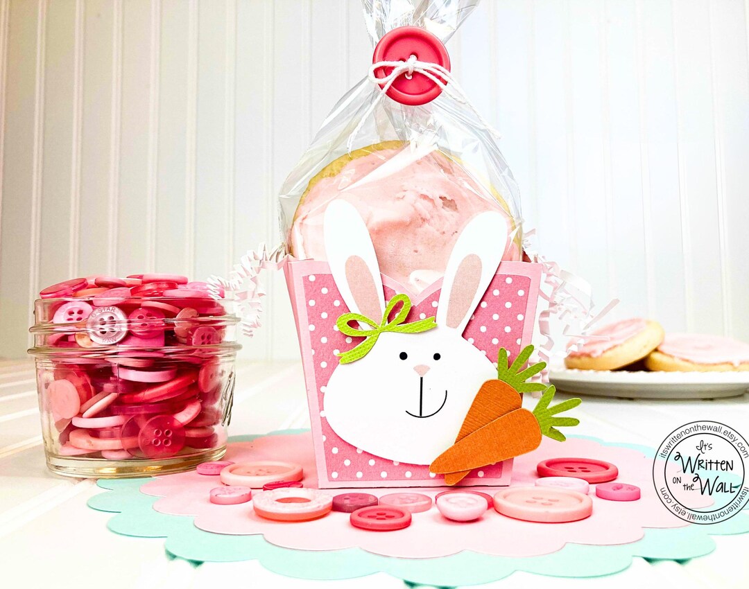 KIT Easter Bunny-a Box of Goodies Fit for an Egg Hunt, Party Favors ...