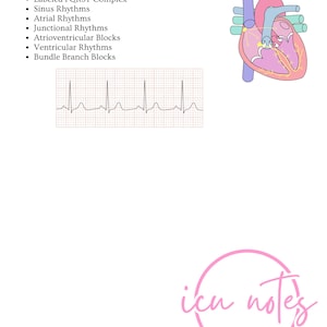 EKG Basics Nursing Notes - Etsy