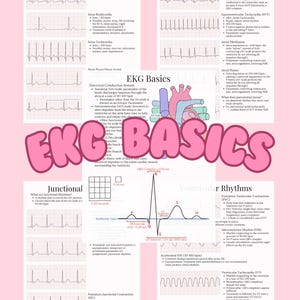 EKG Basics Nursing Notes - Etsy