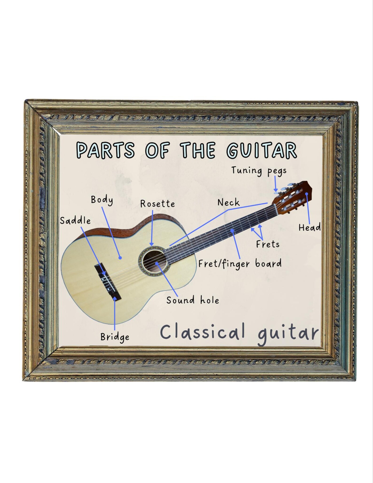 Parts of the Guitar Diagram (classical/acoustic) - Etsy
