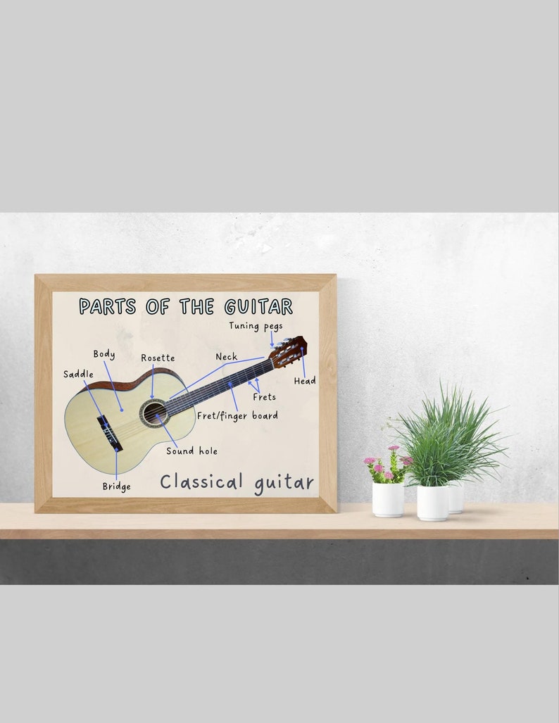 Parts of the Guitar Diagram classical/acoustic - Etsy