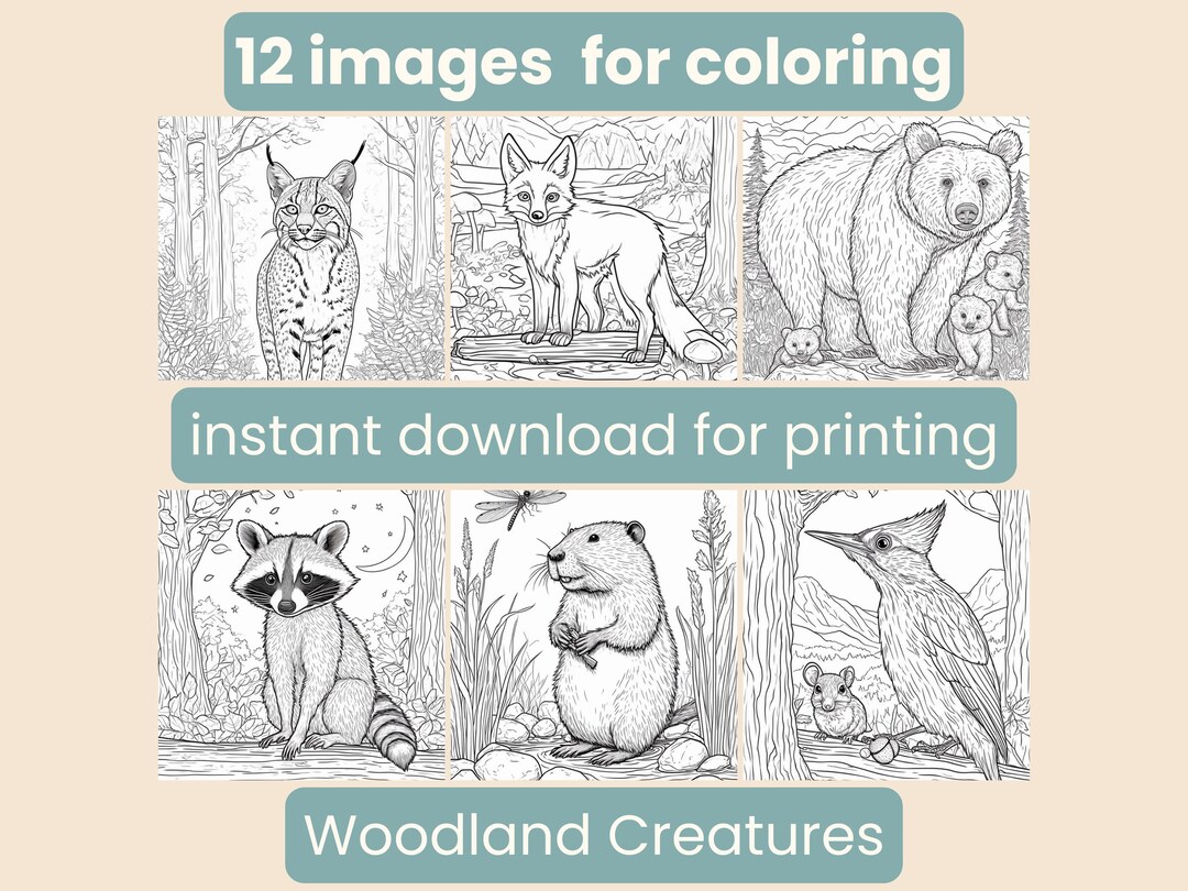 Woodland Animals Coloring Book Printable PDF 12 Cute Forest Creature ...