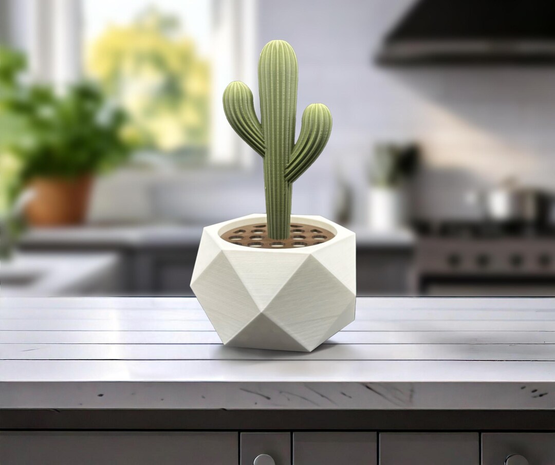 Cactus Plant Pot, Desk Gift, Shelf Decor, Potpourri Bowl, Coffee Table ...