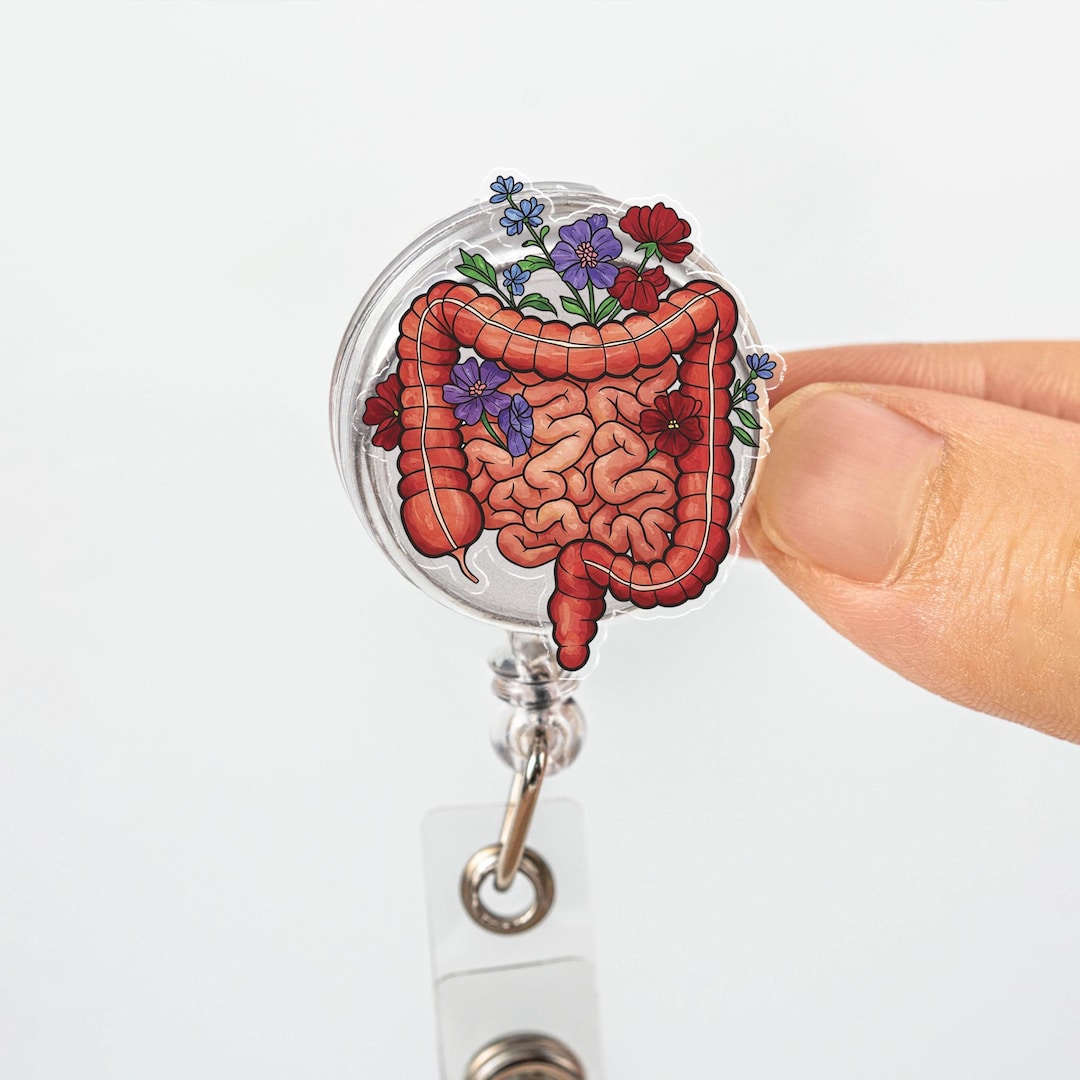 Anatomical Gut Badge Reel, GI Nurse ID Holder, Colon Retractable Clip ...