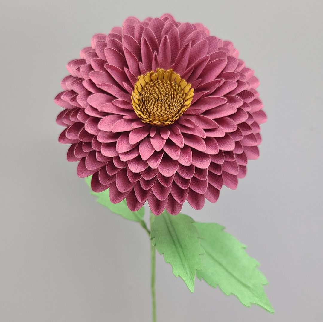 Matsumoto Aster Template Svg Digital File Only Etsy