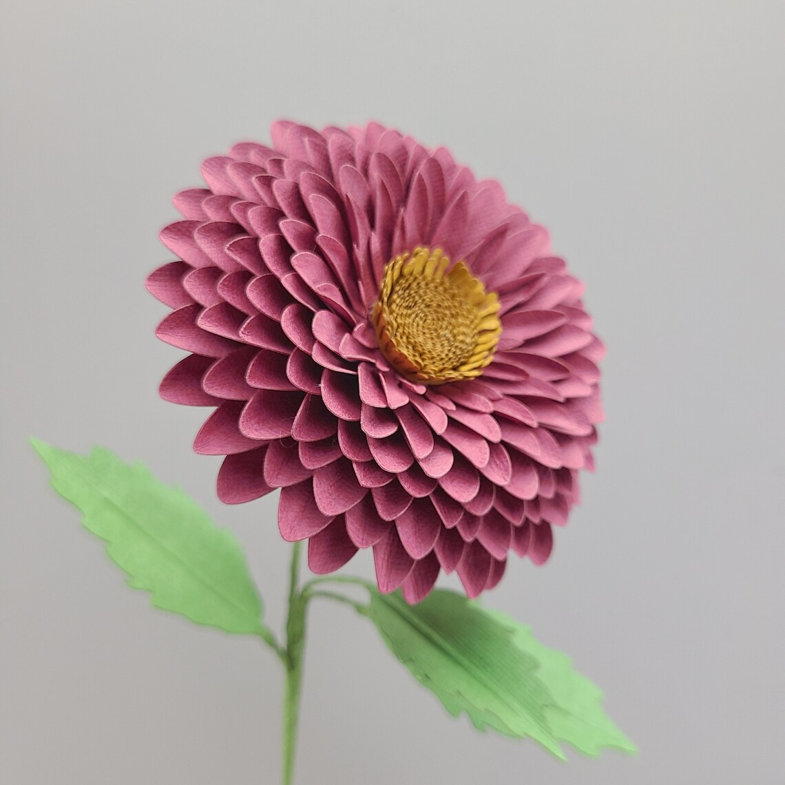 Matsumoto Aster TEMPLATE SVG (digital File Only) - Etsy