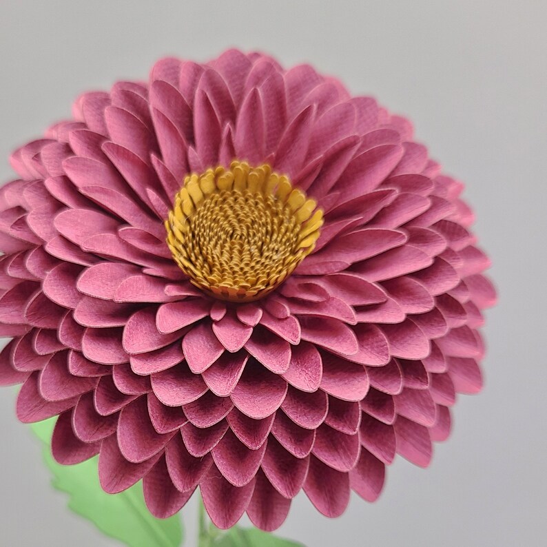 Matsumoto Aster TEMPLATE SVG digital File Only - Etsy