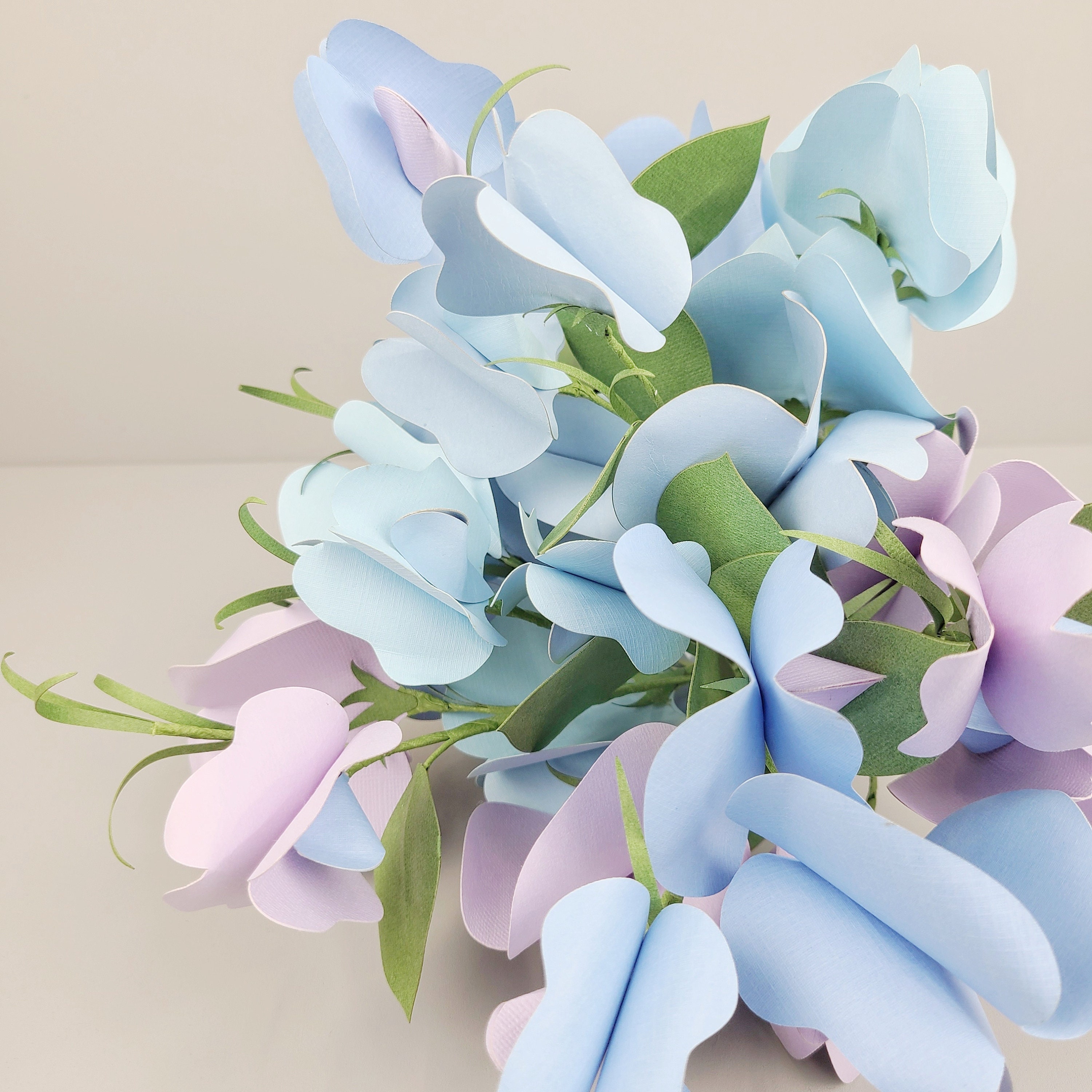 Sweet Pea TEMPLATE SVG digital File Only - Etsy UK