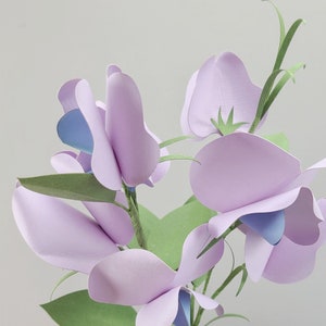 Sweet Pea TEMPLATE SVG (digital File Only) - Etsy