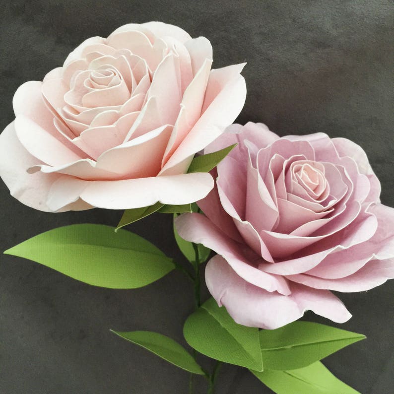 Stemmed Rose Bud TEMPLATE SVG Digital file only | Etsy