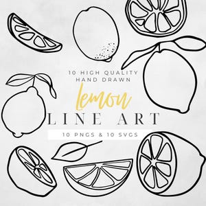 Lemon Illustrations - Hand Drawn Lemons Line Art SVG and PNG - Ink ...