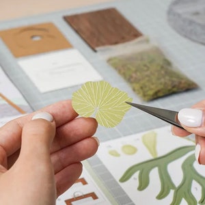 Staghorn Ferns / Platycerium DIY Paper Sculpture / Papercutting / Paper ...