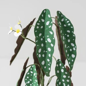 Begonia Maculata - Miniature DIY Paper Sculpture Crafting Kit - Etsy