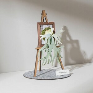 Staghorn Ferns / Platycerium DIY Paper Sculpture / Papercutting / Paper ...