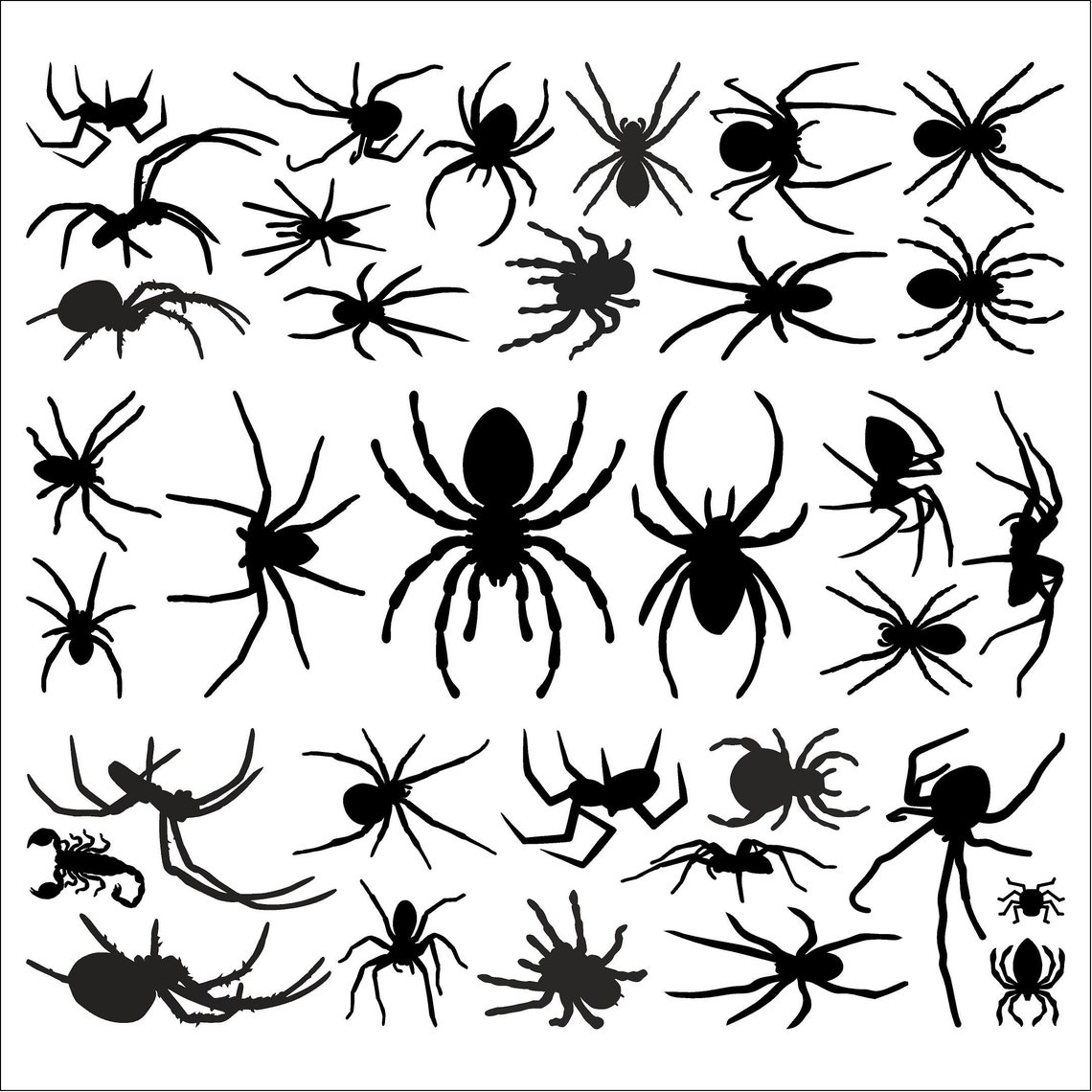 Spiders Medium Set of 30 Spooky Halloween Wall Decal Sticker - Etsy