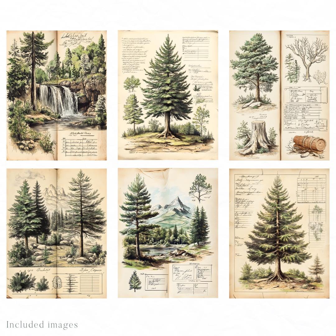 Vintage Forest Field Journal Pages, Digital Junk Journal Kit, Botanical ...
