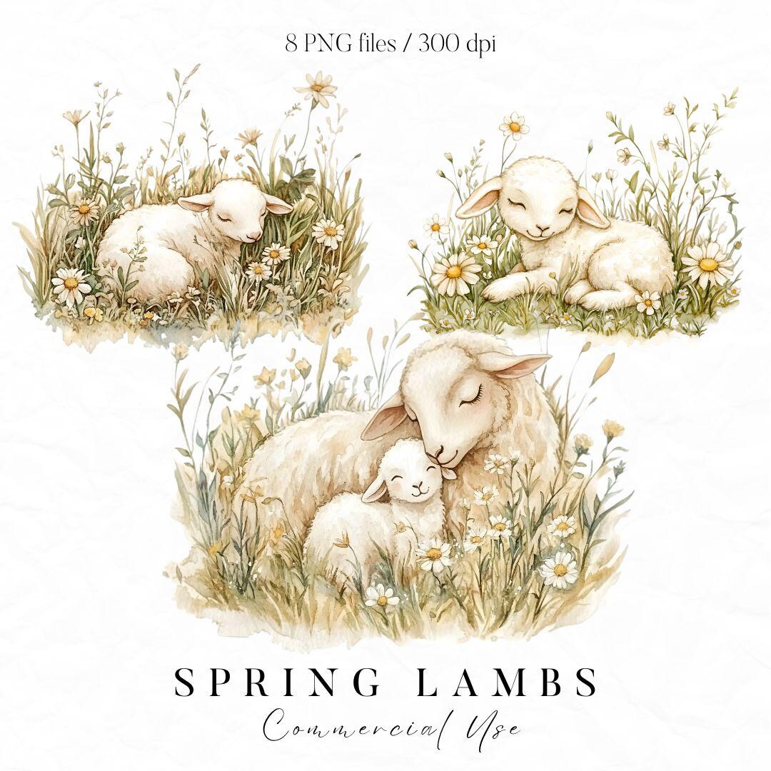 Spring Lamb Clipart, Cute Lamb PNG, Spring Animals Clipart Pack, Farm ...