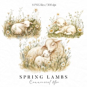 Spring Lamb Clipart, Cute Lamb PNG, Spring Animals Clipart Pack, Farm ...